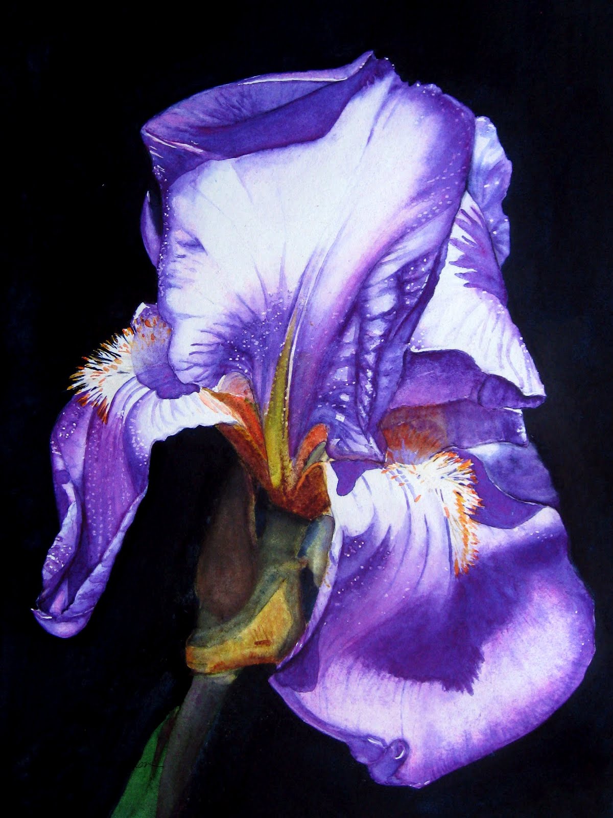 Zelma Cinnamon Fine Art