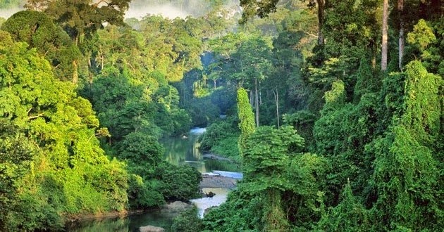 Persebaran Flora di Indonesia - GEOMEDIA