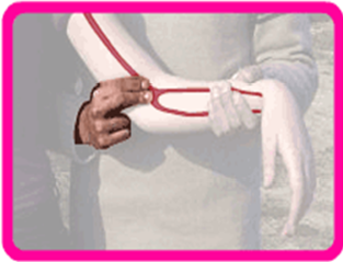 GUIAS: Signos Vitales