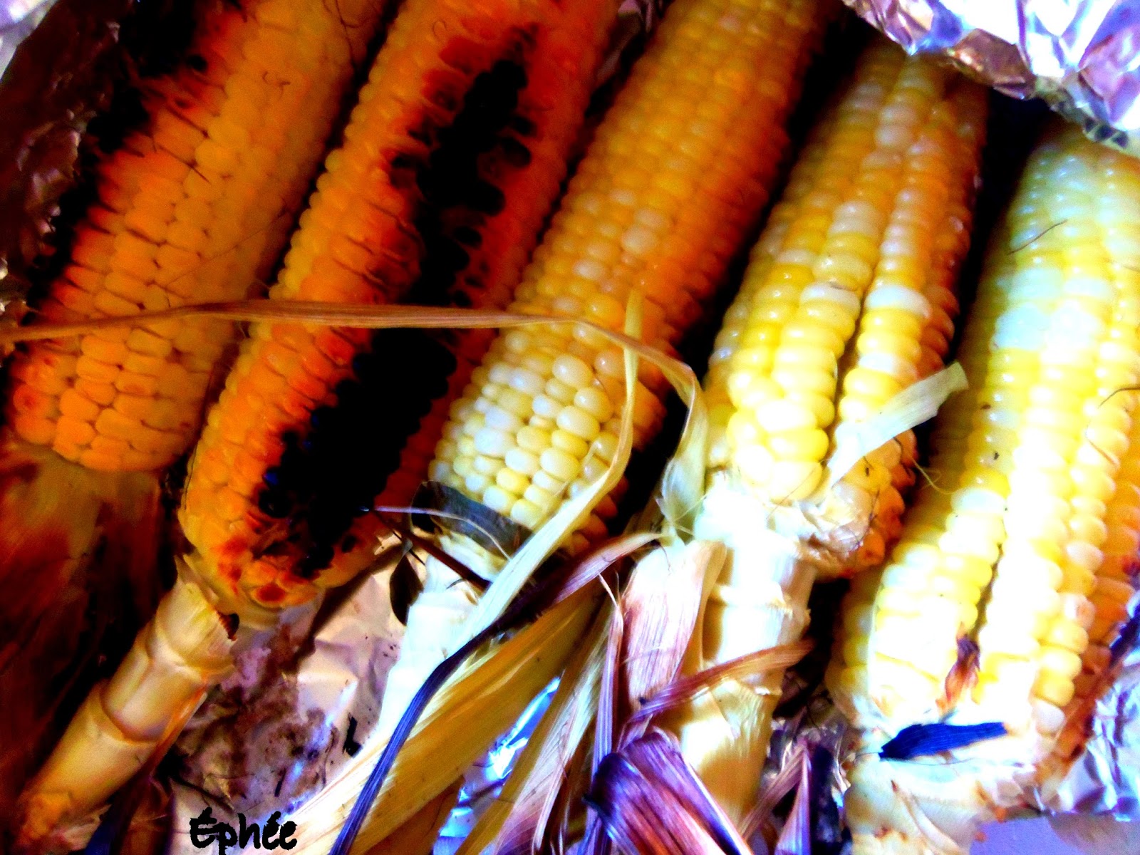 Maïs \ blé d'inde le retour