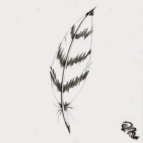 How to Draw a Feather with Colored Pencils