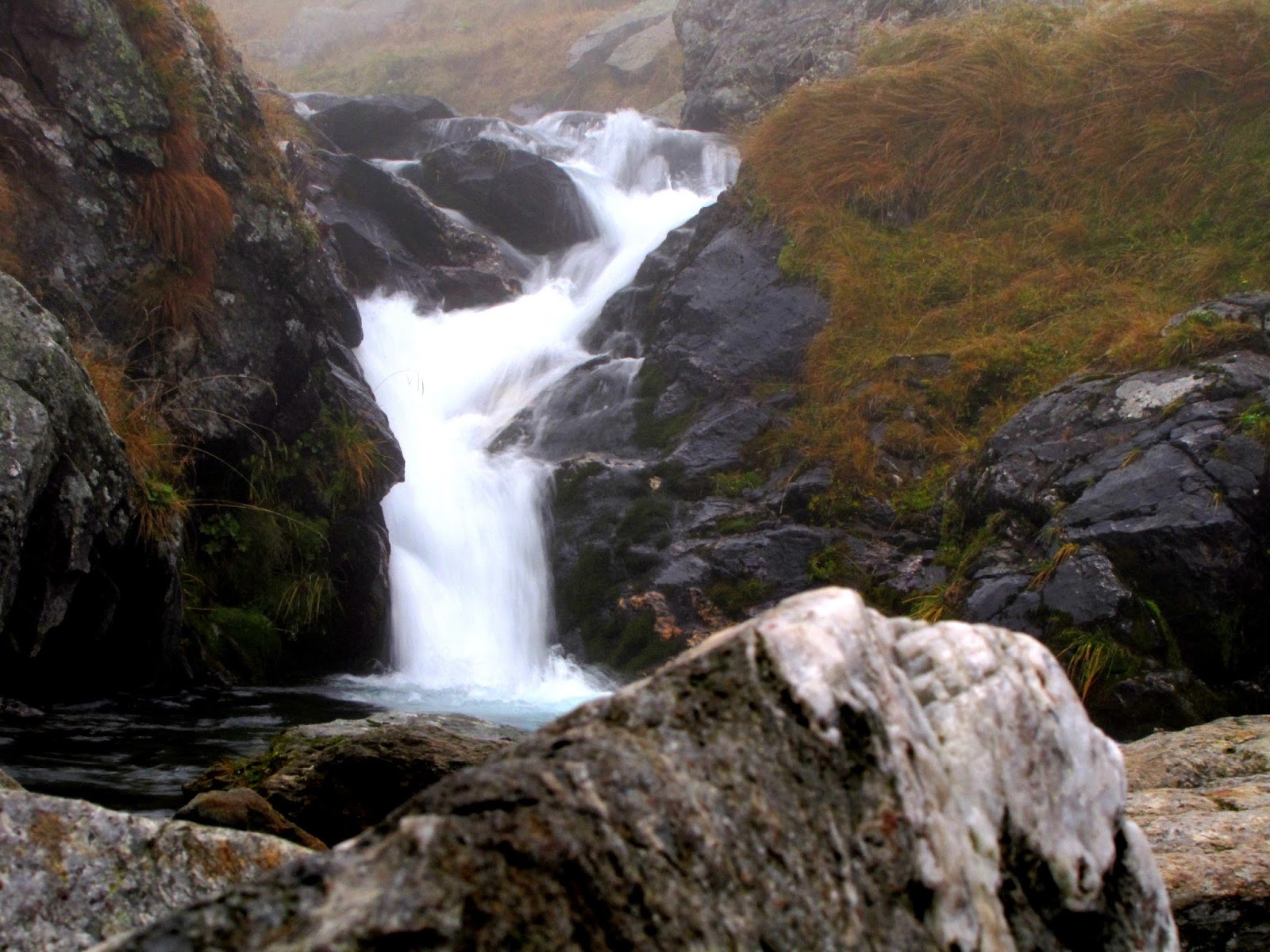 Hobby de mamica - photo, responsabilitate sociala si altele ...