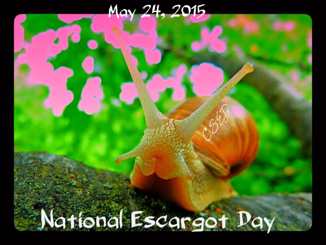 Crazy Days To Celebrate: May 24, 2015