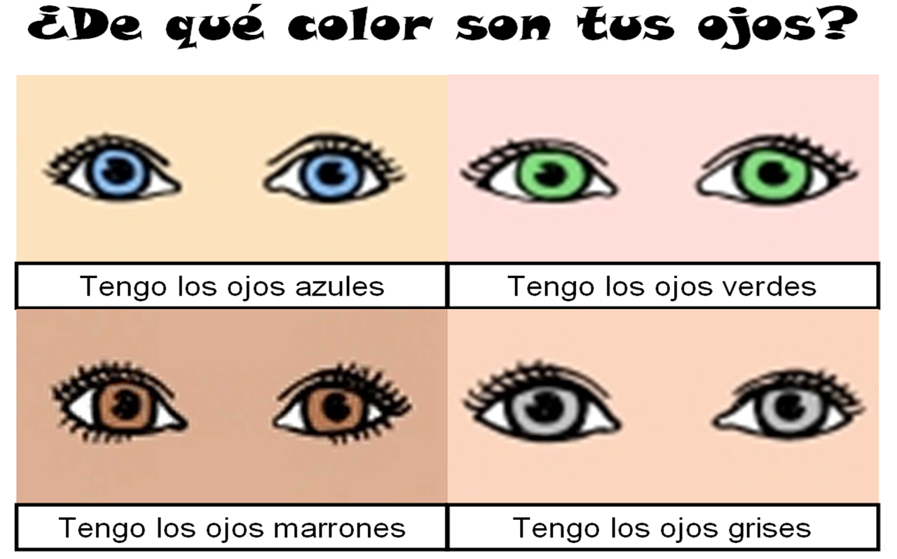 Spanish Fun: Los Ojos y El Pelo