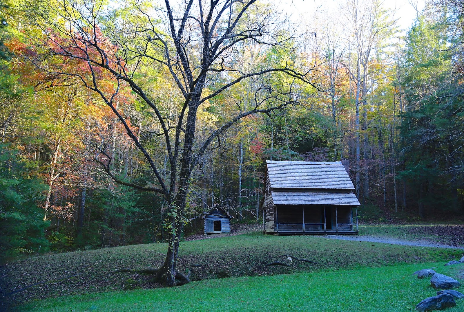 Sweet Southern Days: Parson Branch Road In The Great Smoky Mountains ...