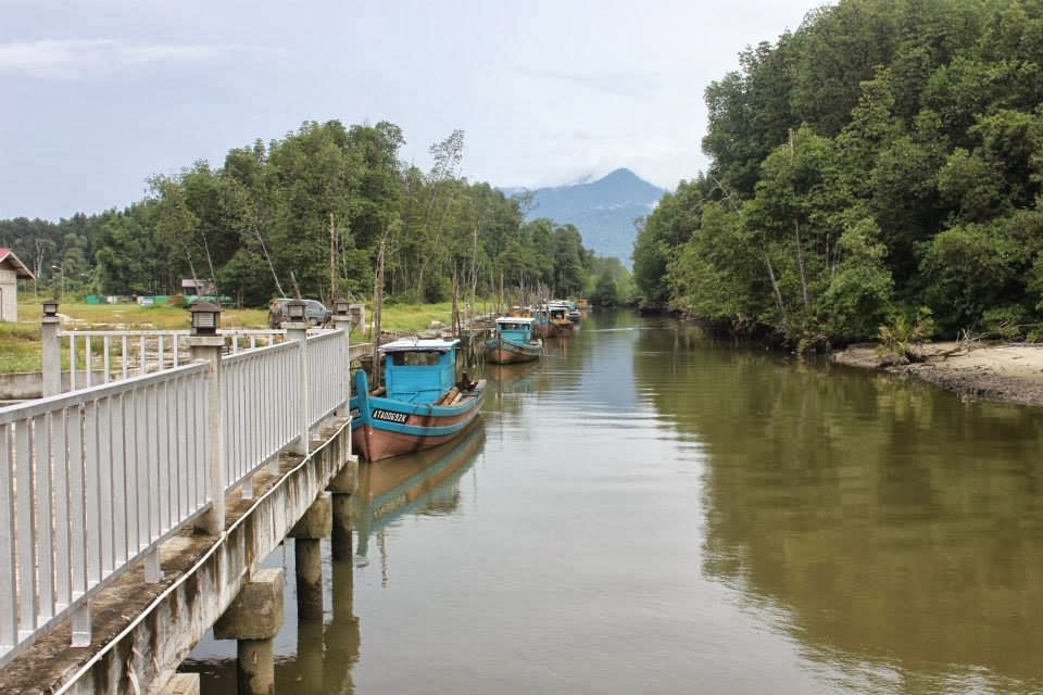 KUALA SEPETANG ECO TOURISM Matang Mangrove Forest Reserve Tour, Bird ...
