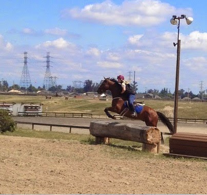 Eventing in Color: Eventing Explained: Competition Levels