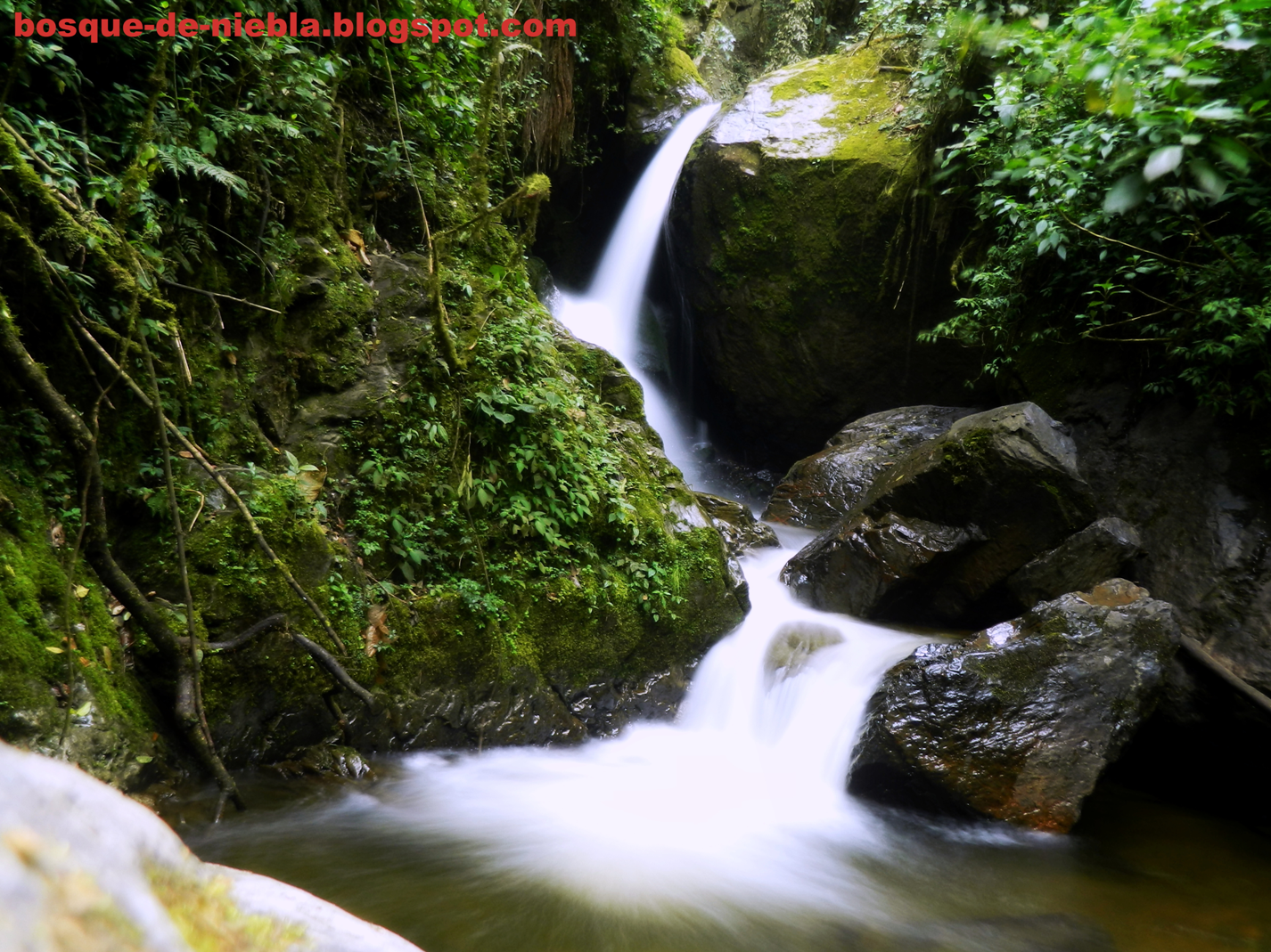 Rutas De Montaña.: VALLE DE COCORA