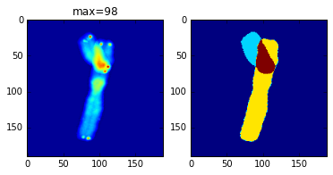 Overlapping chromosomes | Kaggle