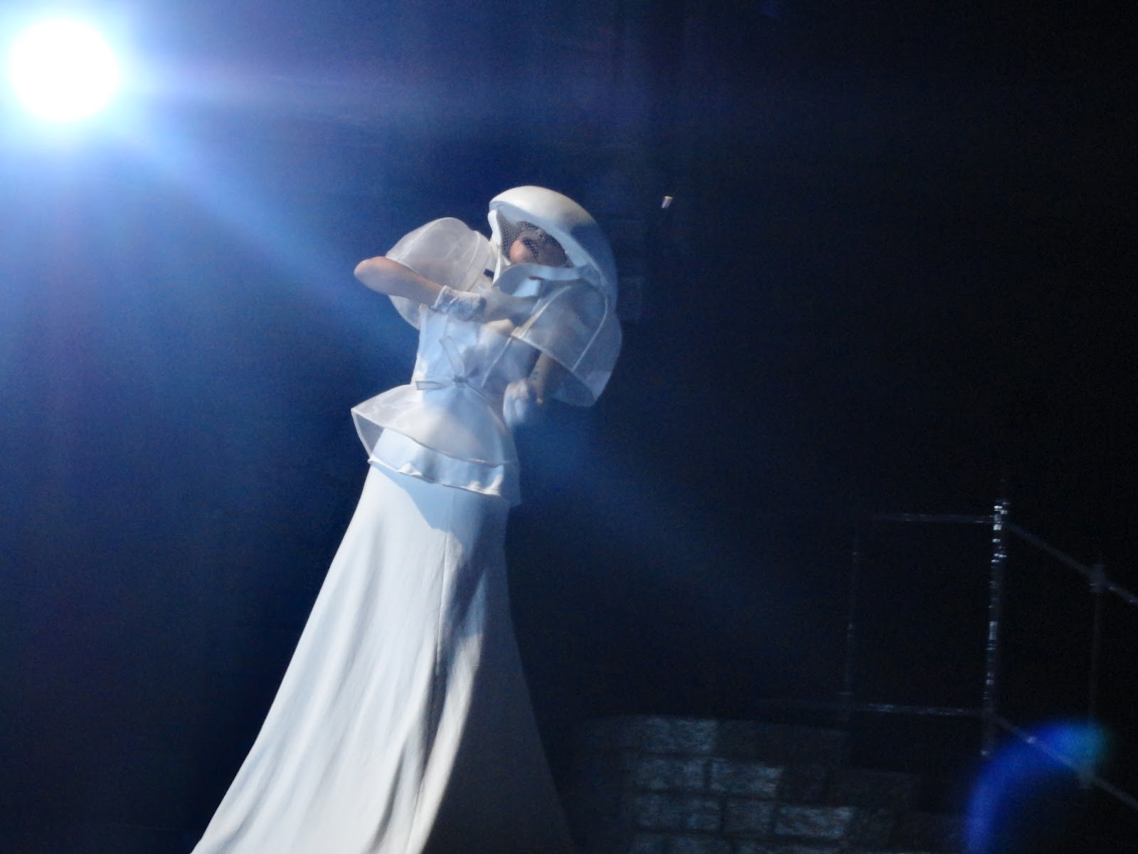 Lady Gaga Official Website | riduspic