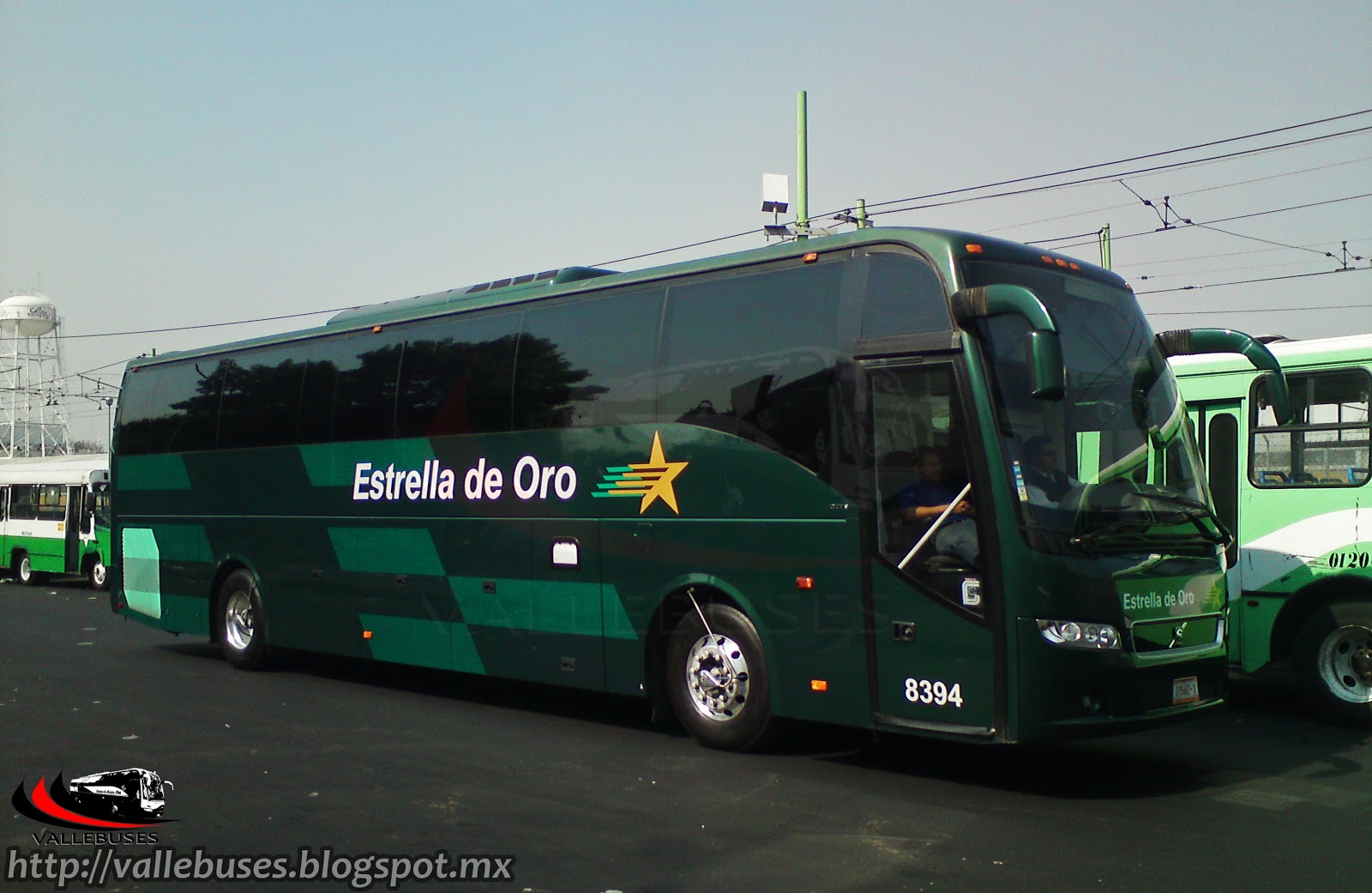 Vallebuses: 0246 - Estrella de Oro Pluss