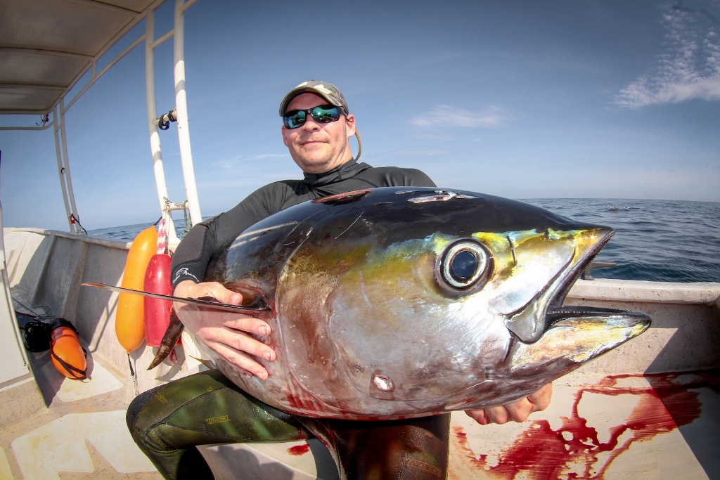Yellowfin Tuna Factory, Indonesia Tuna Factory, Tuna Dry Fish ...