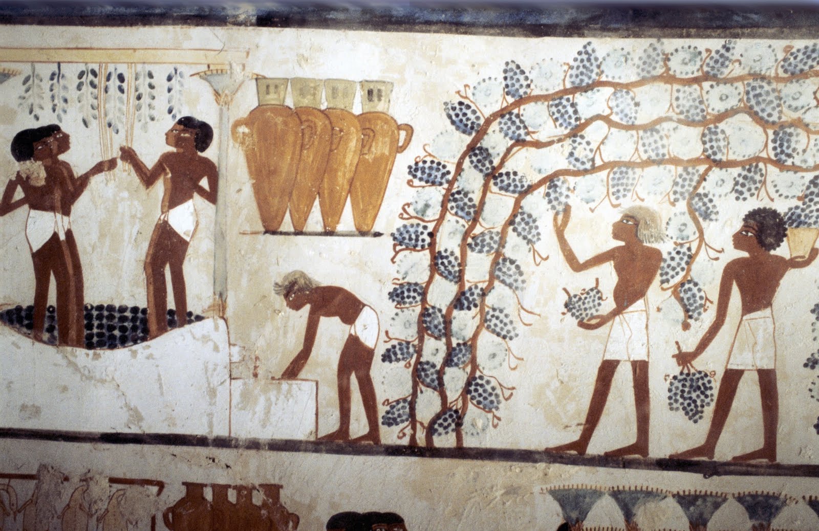 The Ancient Egyptian Agriculture