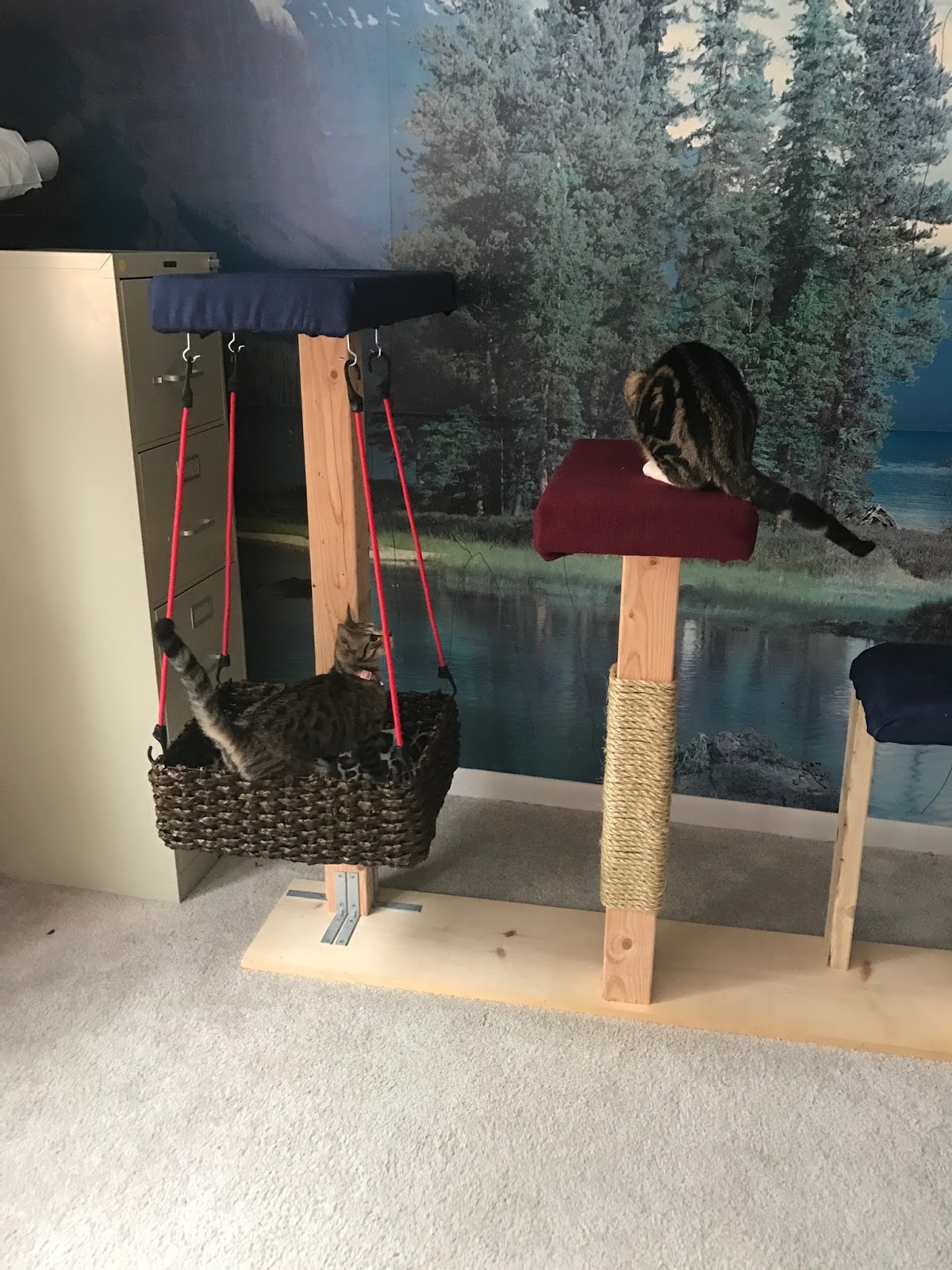 Drew Danielle Design: DIY Cat Tower