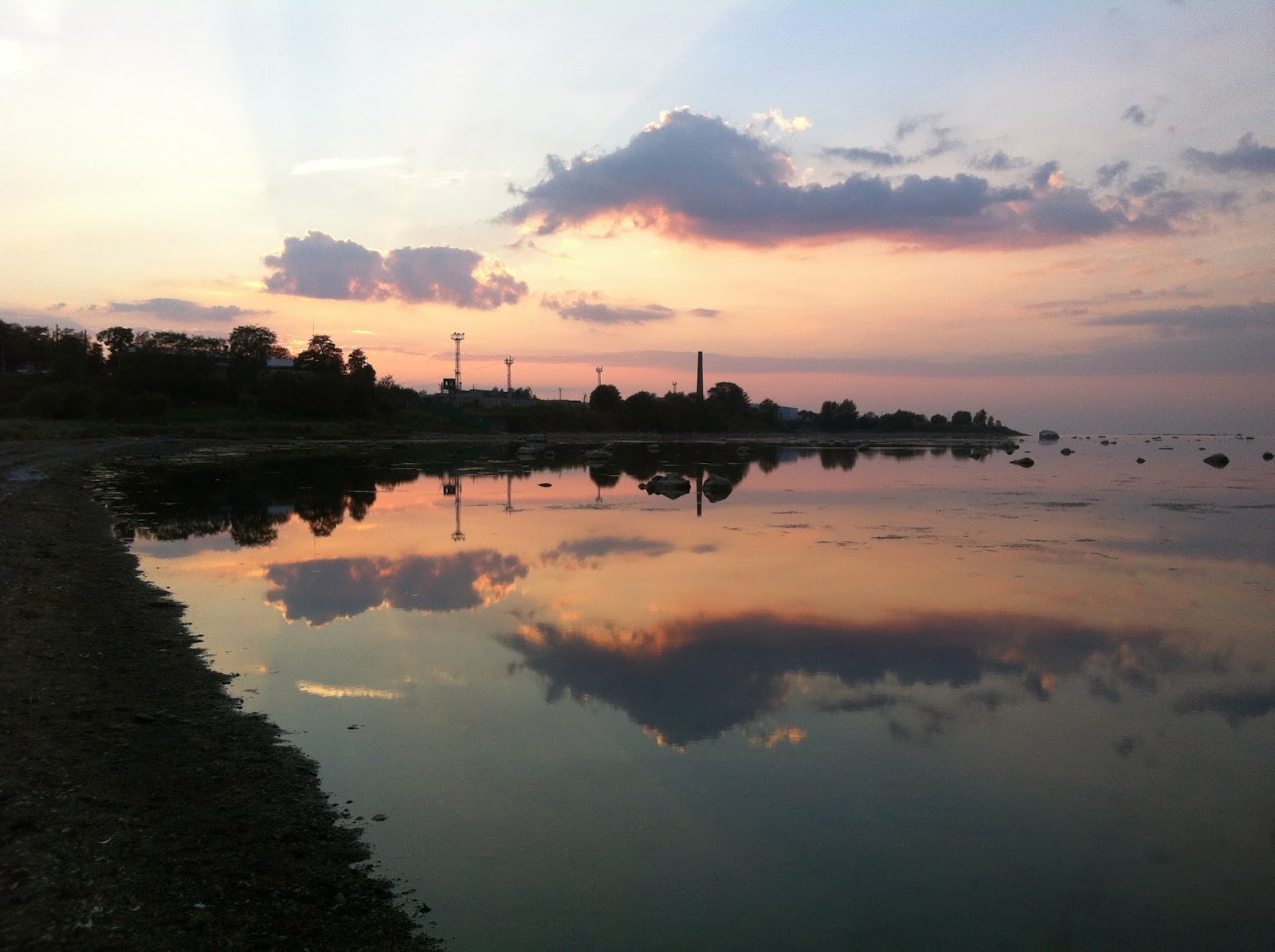 Connected in the woods: Understanding Estonia: the Kopli peninsula