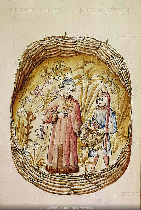 Viático de Vagamundo: Pharmacists and medicines