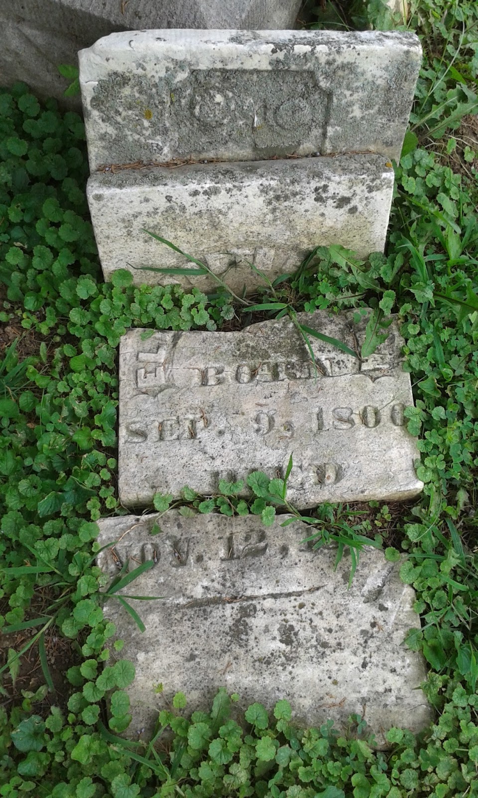 A Walk Through The Tombstones: Hindustan Cemetery