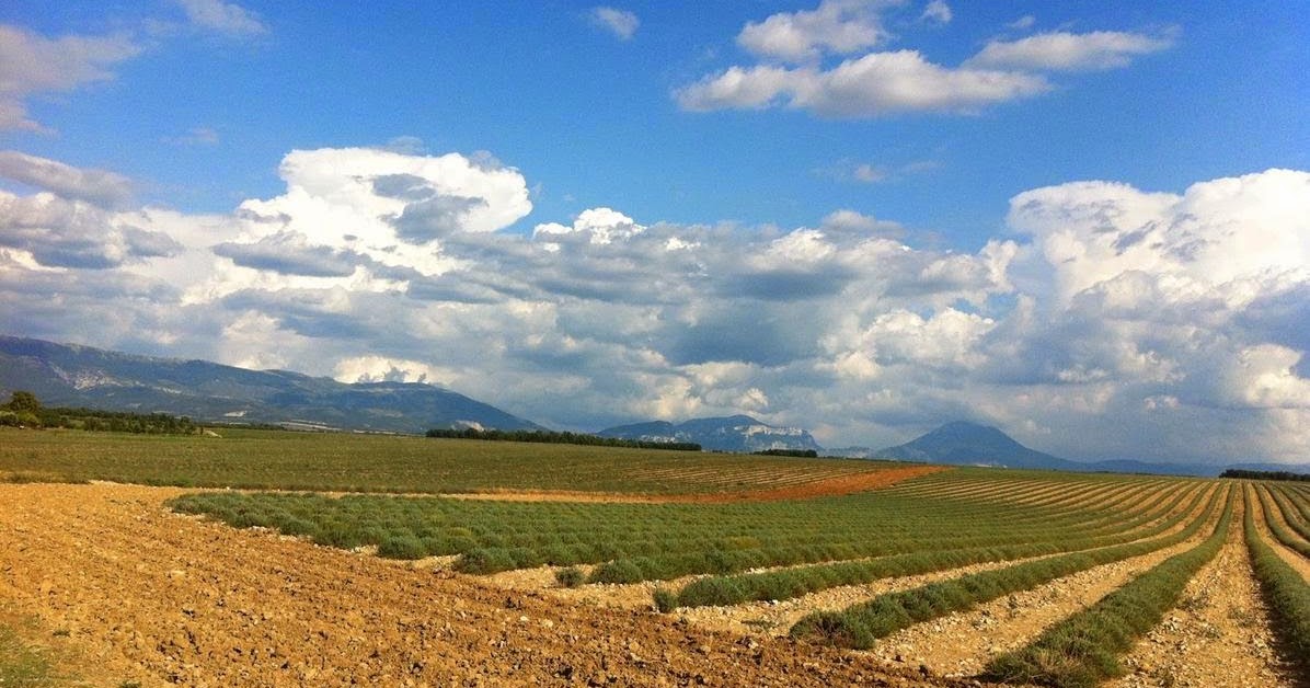Imparare con la Geografia: 20 L'agricoltura e i paesaggi rurali