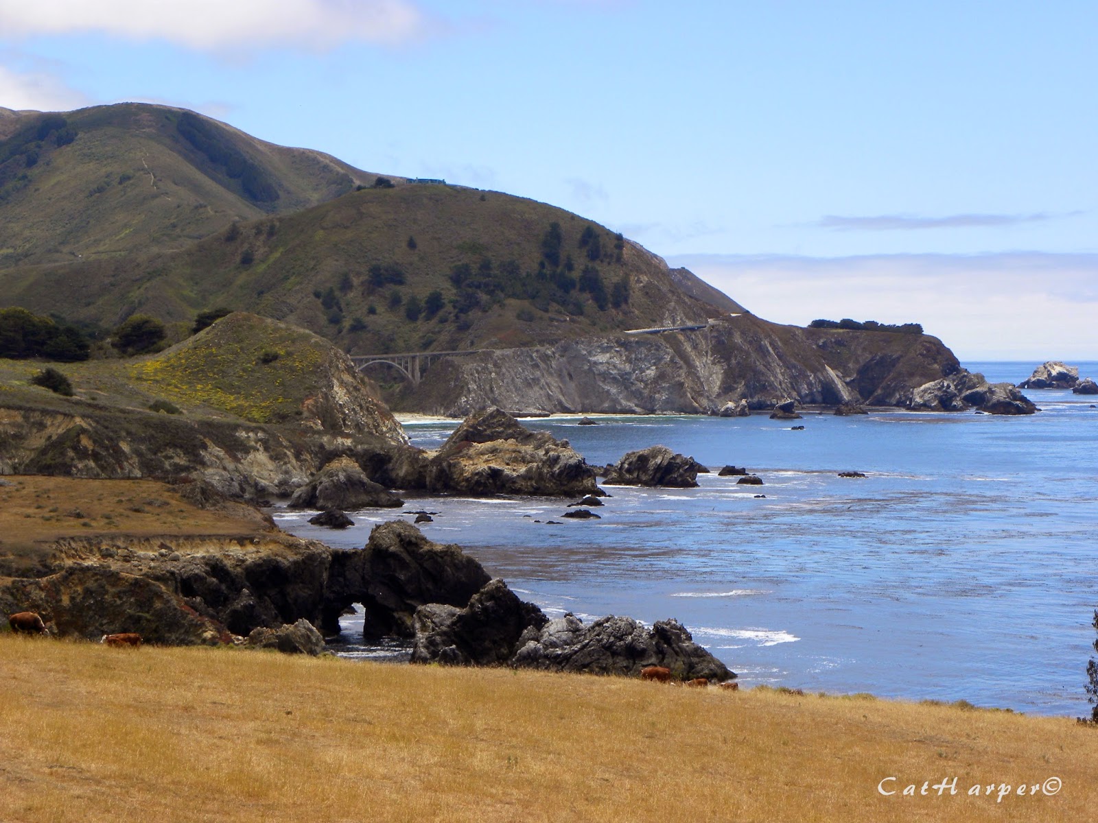 Shutterbug Traveler: Hidden Monterey ~ Big Sur