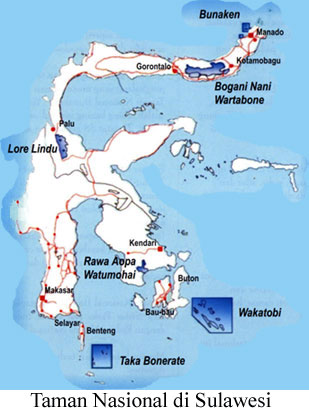 Keindahan Bunaken | InsiDe