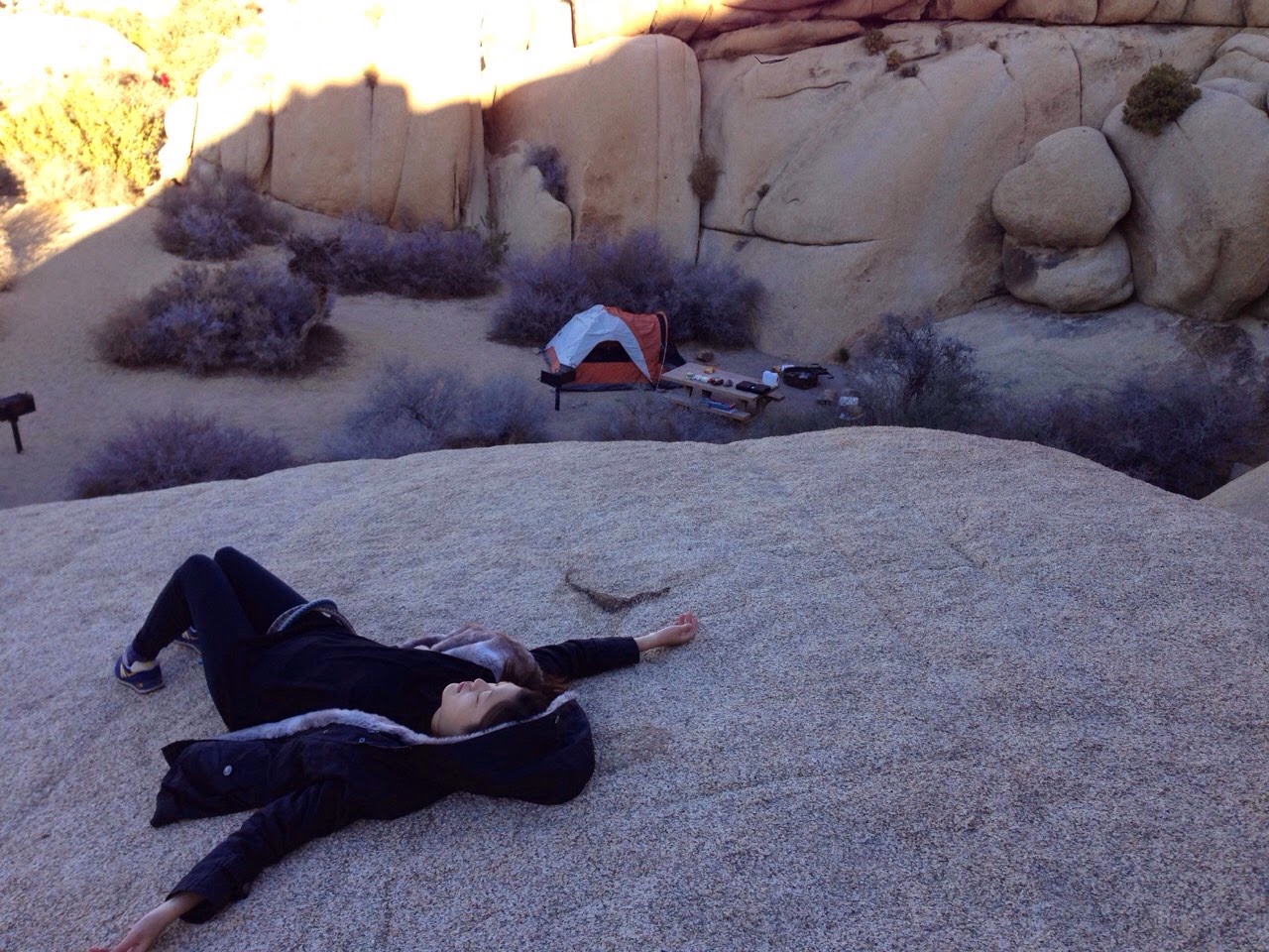 Tanny Chang: Christmas in Joshua Tree