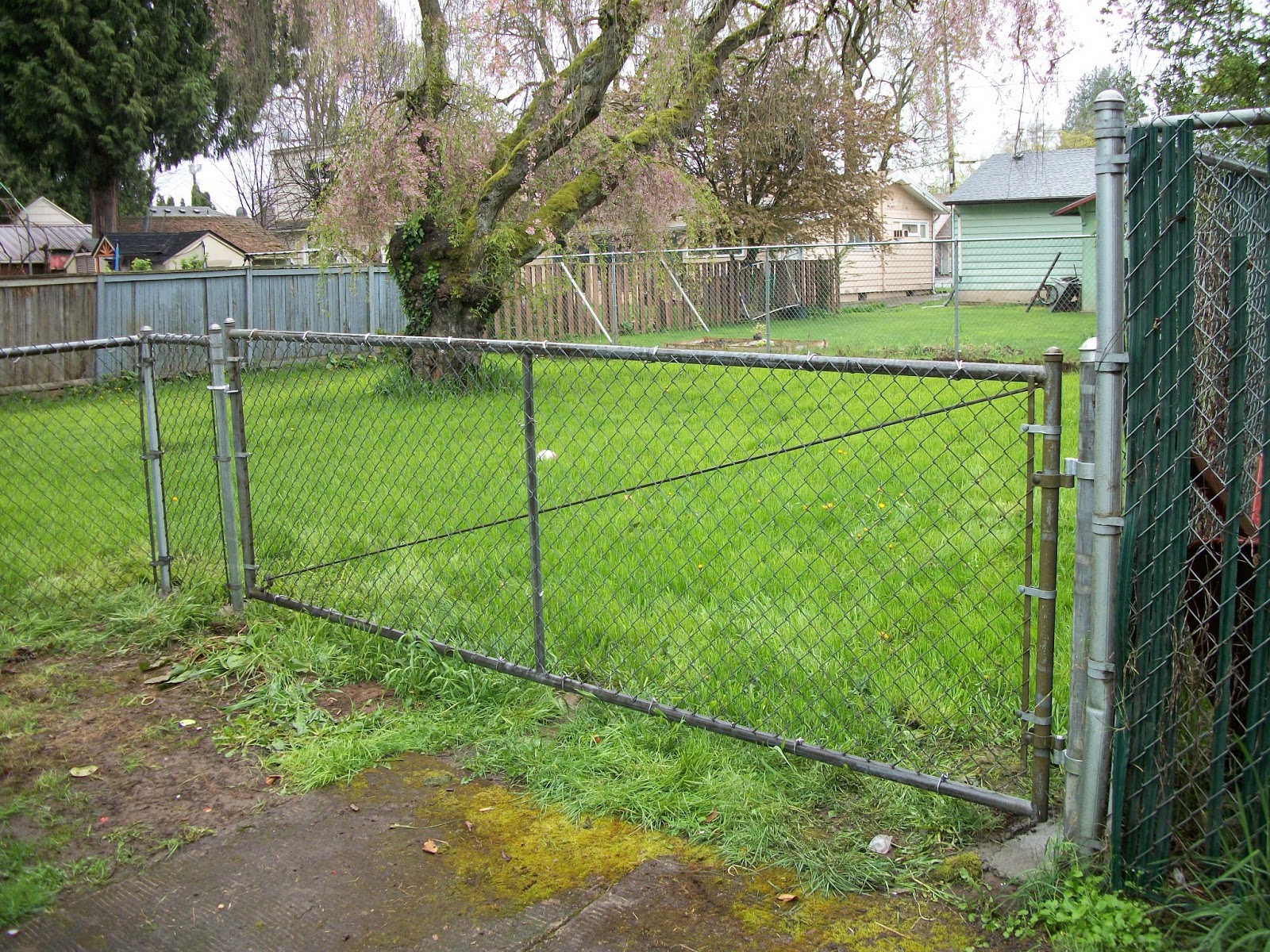 Mending Broken Fences: Removing Old Wood Fence Installing Old Chain ...