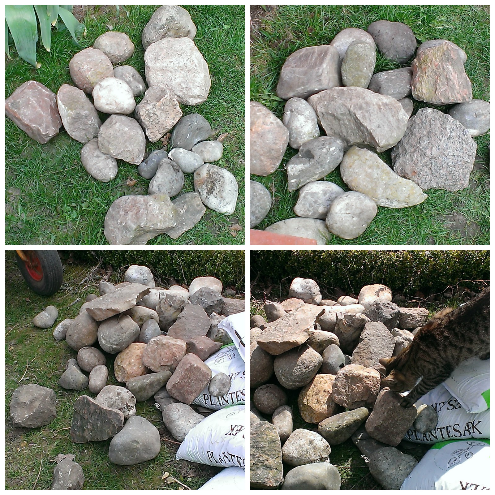 Min lille store have: Hårdt arbejde!