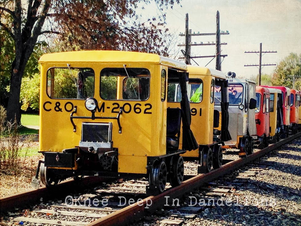 Knee Deep In Dandelions: Cute Little Railroad Cars