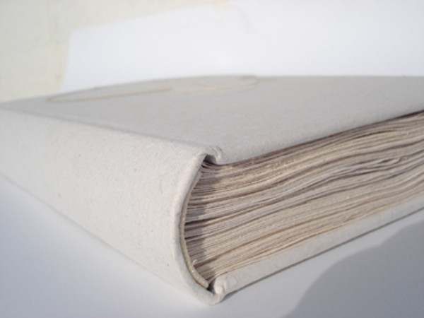 Aprender será una gran aventura: Libro Blanco de la Profesión Docente