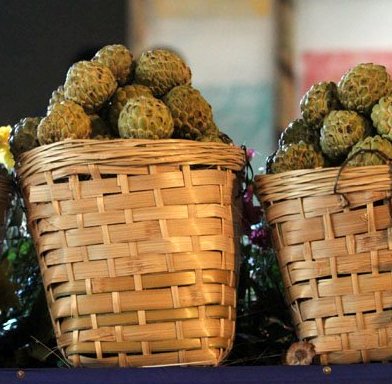 Atis-Sugar Apple ~ What's New Philippines?