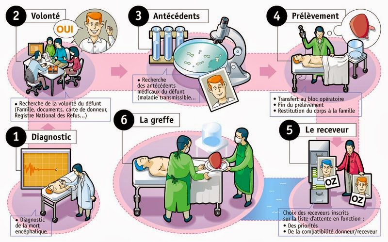 Les Survoltés, La Course du Cœur avec l'équipe RTE: J-5 : Les étapes du ...