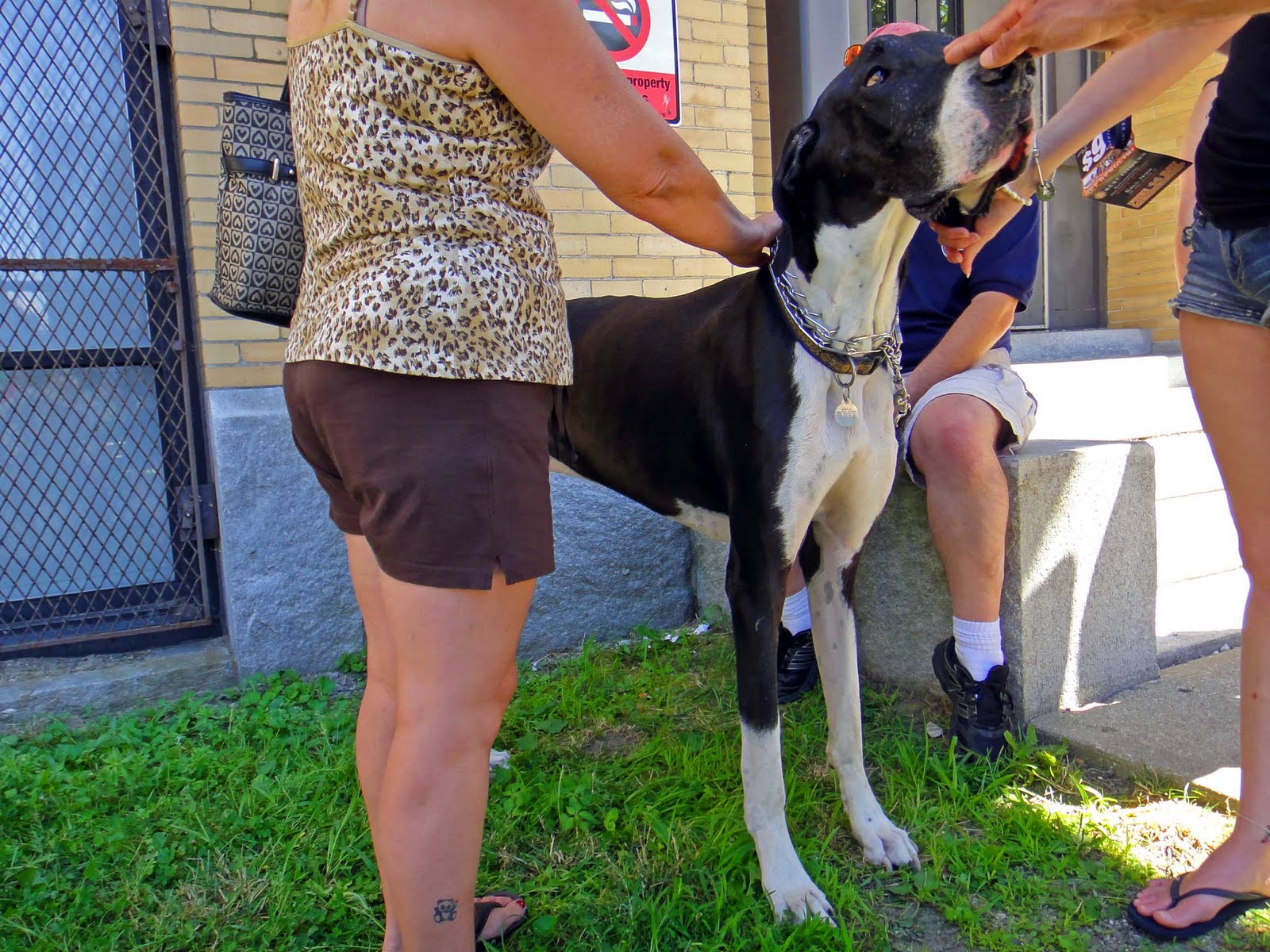 Joe's Retirement Blog: July 2011