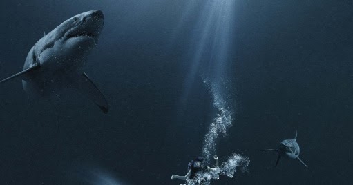 Dave's Movie Site: Movie Review: 47 Meters Down