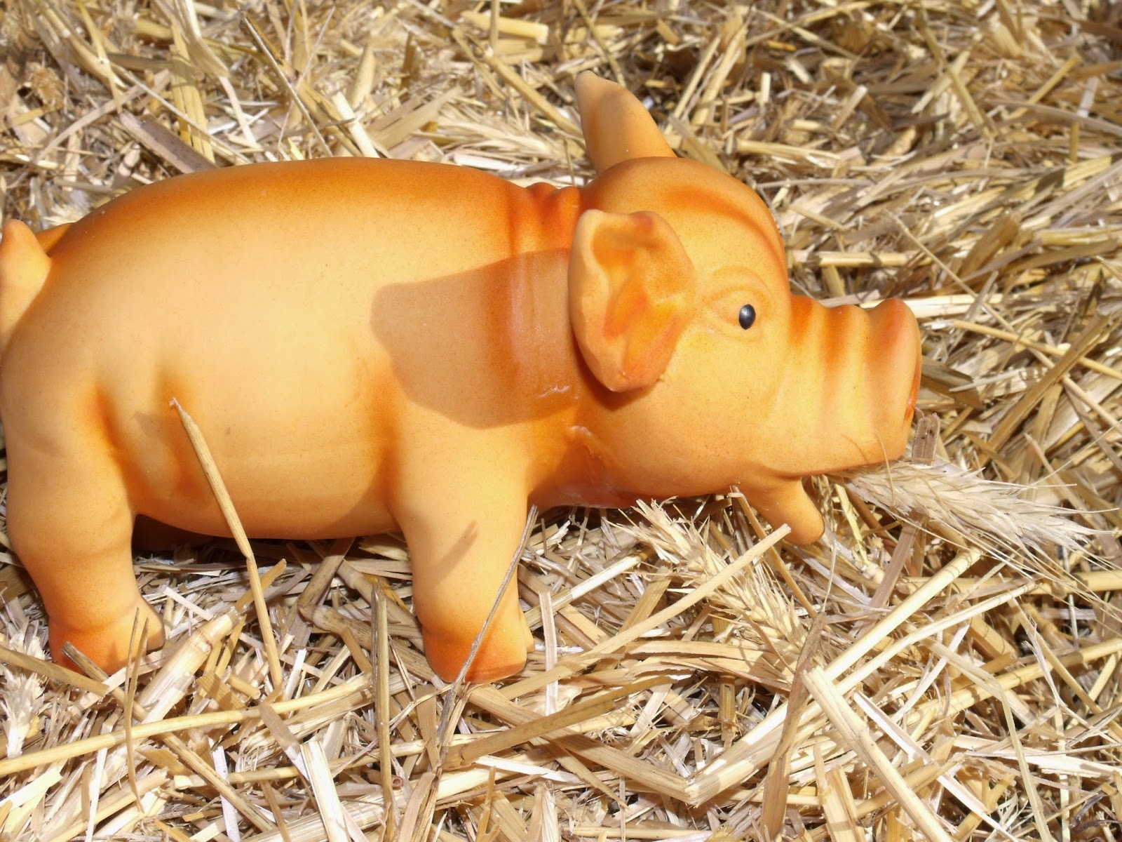 Les divagations de Véro: Histoire des trois petits gorets...