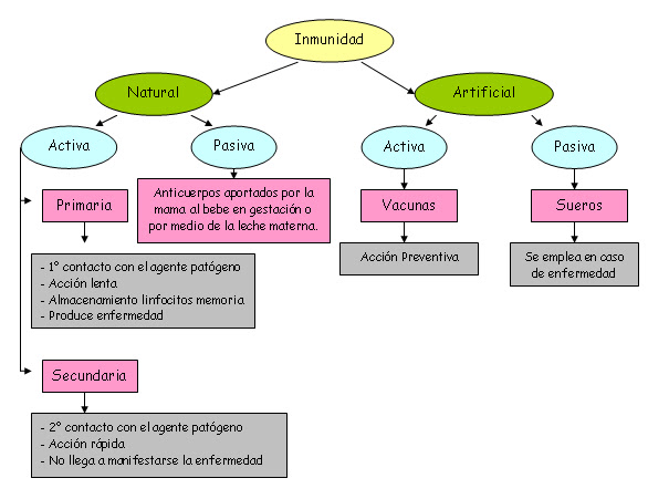 Sistema Inmune: Inmunidad Natural y Artificial