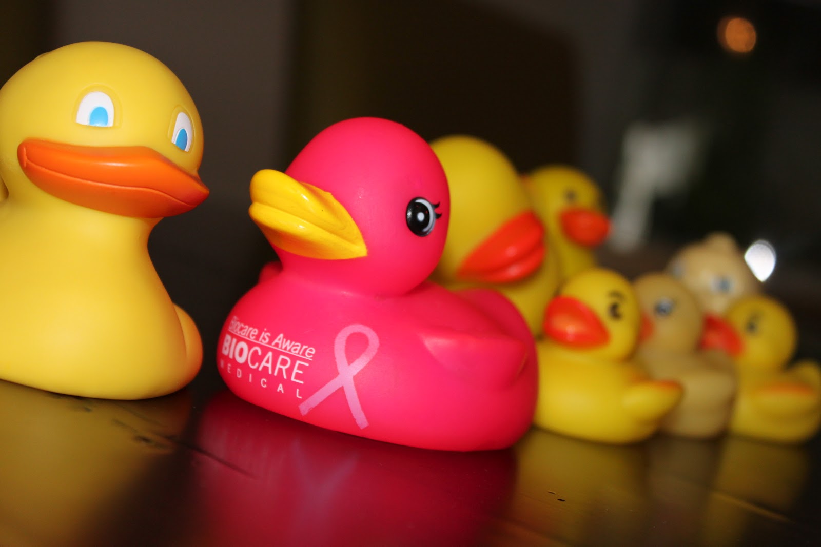 Wandering Lili - My Road Warrior Stories: GIVEAWAY: What Would You Name ...