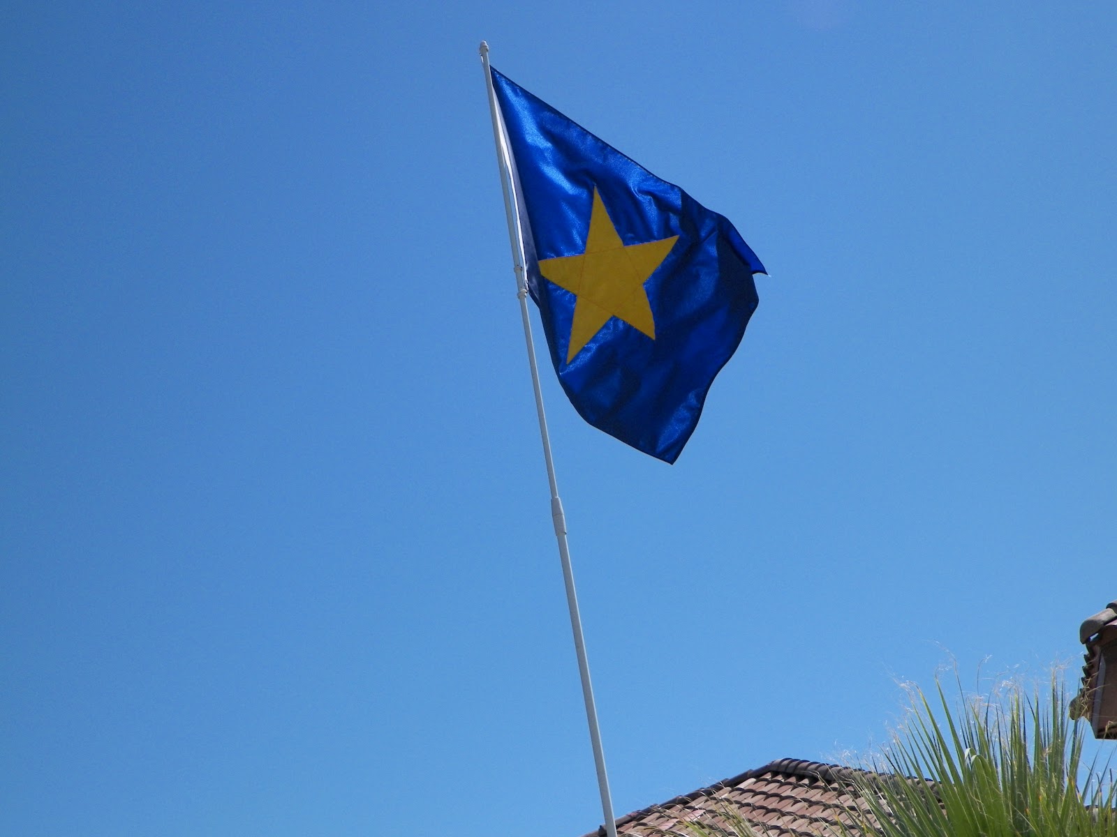 7th Generation Texian: BURNET, ( REPUBLIC ) FLAG