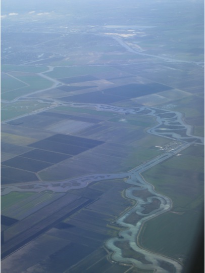 The California Delta: The California Bay Delta