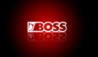 BOSS LIGHT