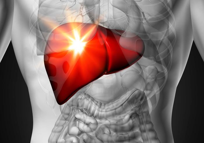 Naturalizate Ya: ¿ESTÁS EN ZONA DE RIESGO? ¡6 SEÑALES QUE AVISAN DE QUE ...