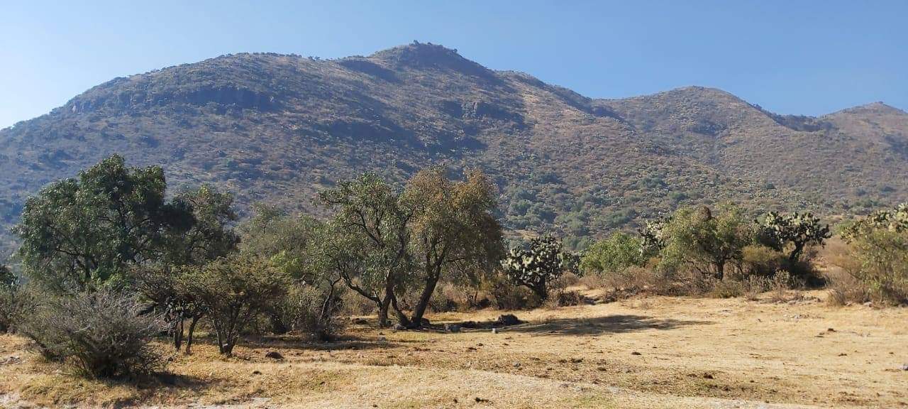 El mexiquense Hoy: La festividad de la Santa Cruz en Ecatepec y sus ...