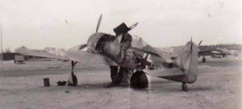 FalkeEins - the Luftwaffe blog: Fw 190 A-8 Stabsstaffel JG 51 - Michael ...