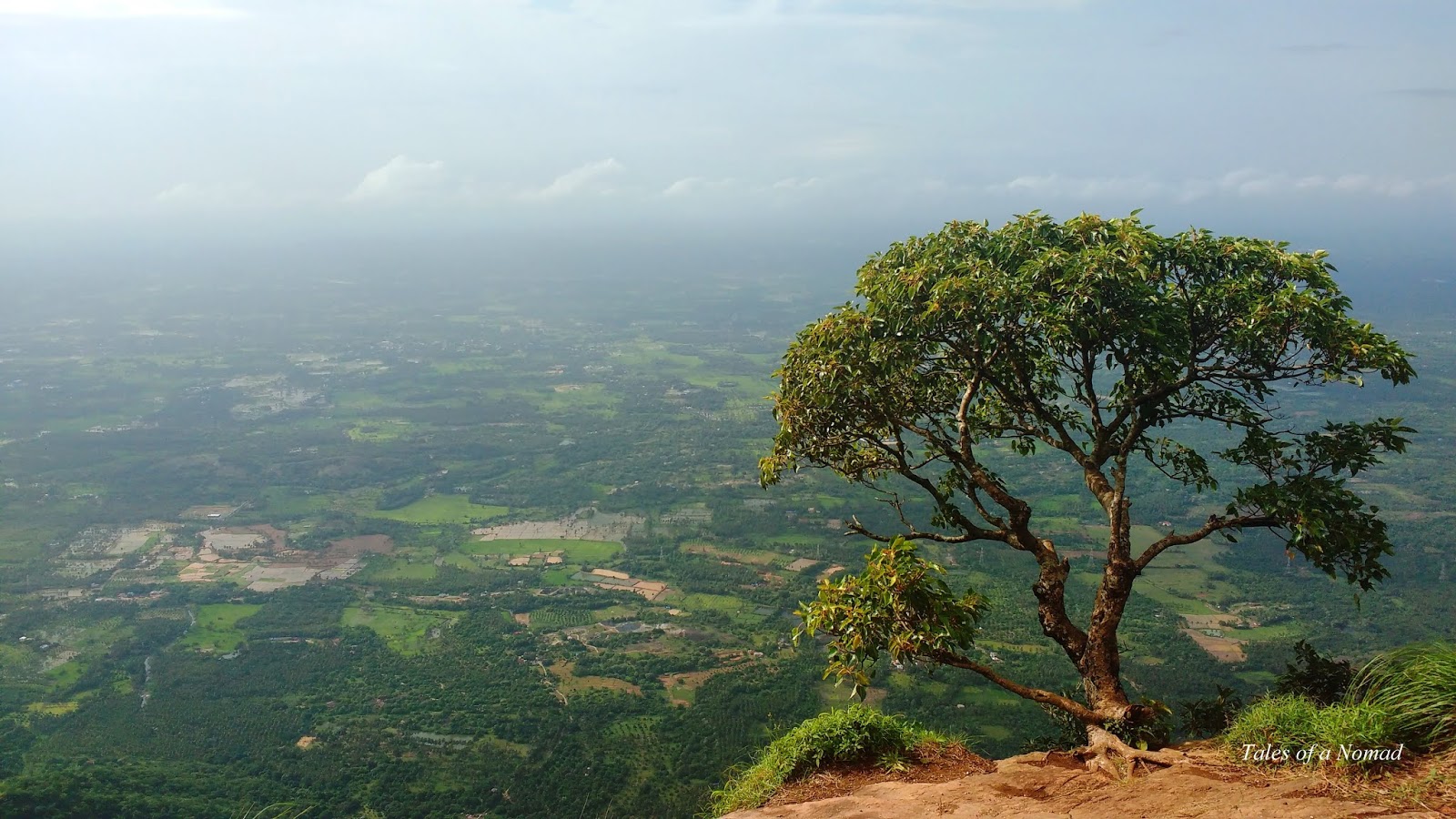 Tales Of A Nomad: Nelliyampathy: A Gem in the Western Ghats
