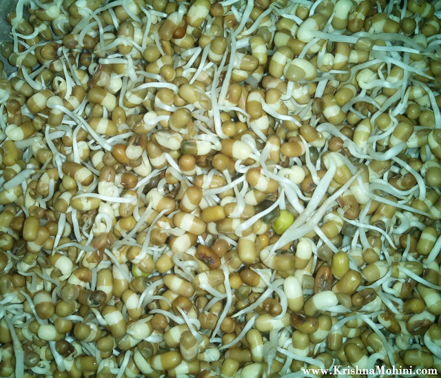 Photoblog: Sprouted Matki Beans