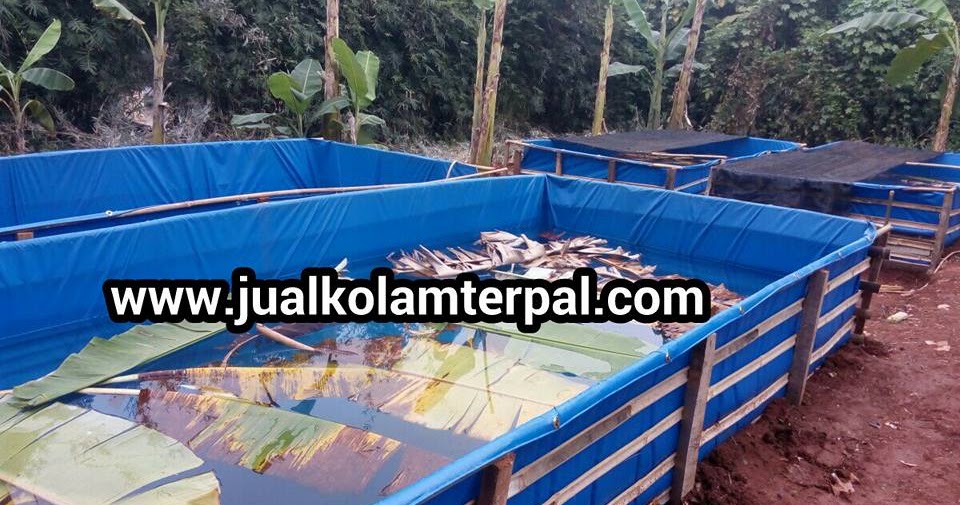 JUAL KOLAM TERPAL MURAH BERKUALITAS: kolam terpal praktis bayung lincir ...