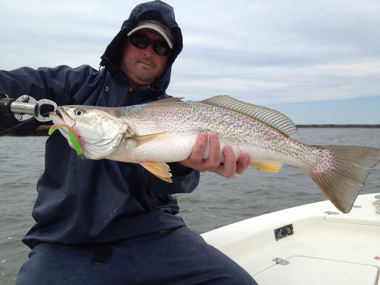 Jersey Cape Guide Service: Morning Weakfish
