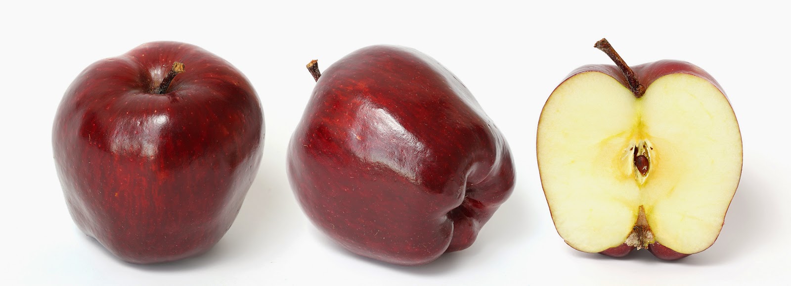 Awakenings: Bite! Bite! Bite!