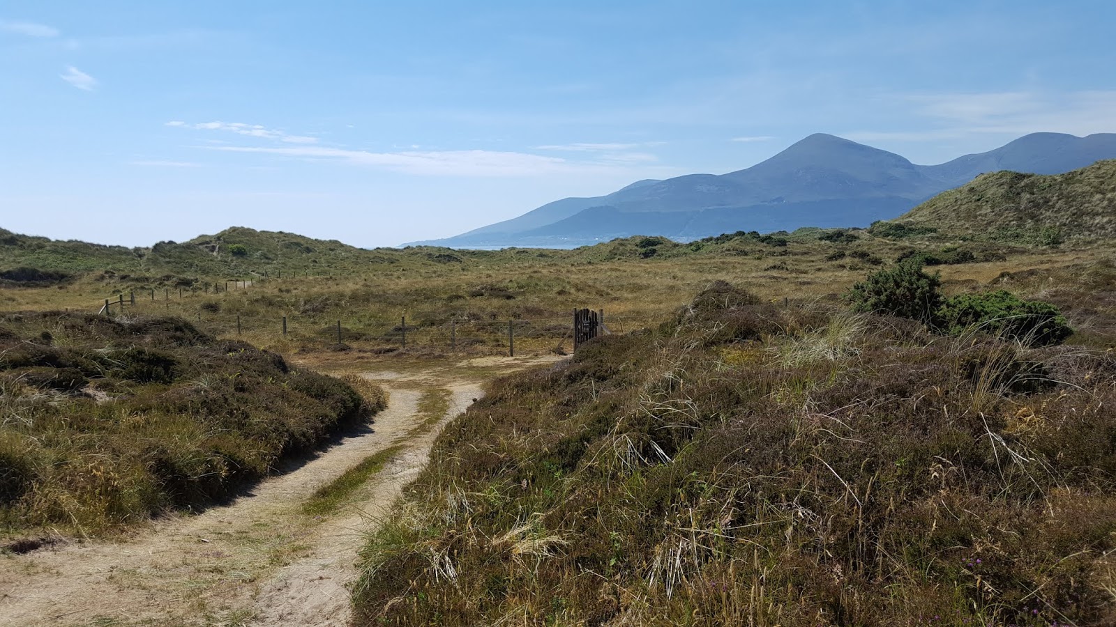 Sara Hikes... But Not Enough : Murlough National Nature Reserve