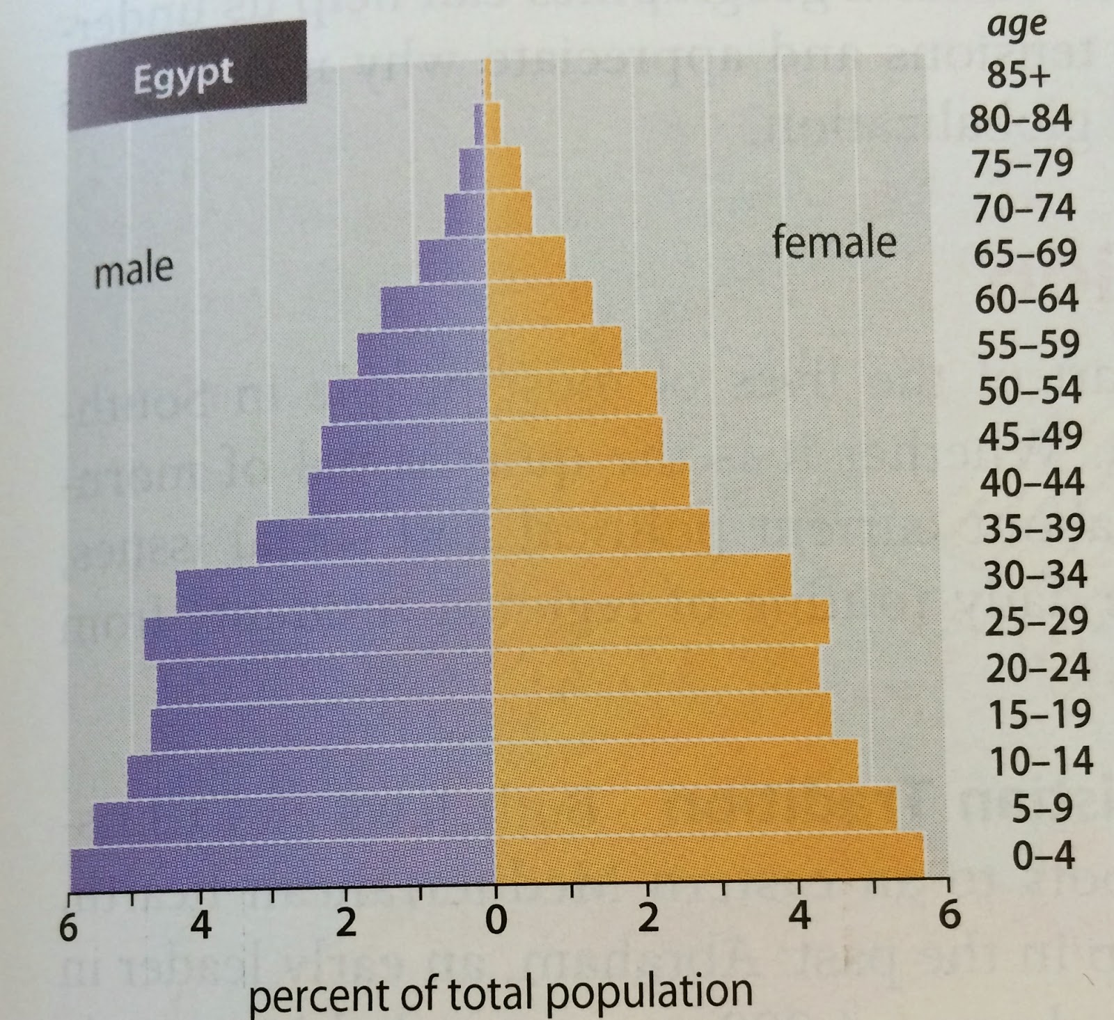 Egypt: Egypt: Population Indicators