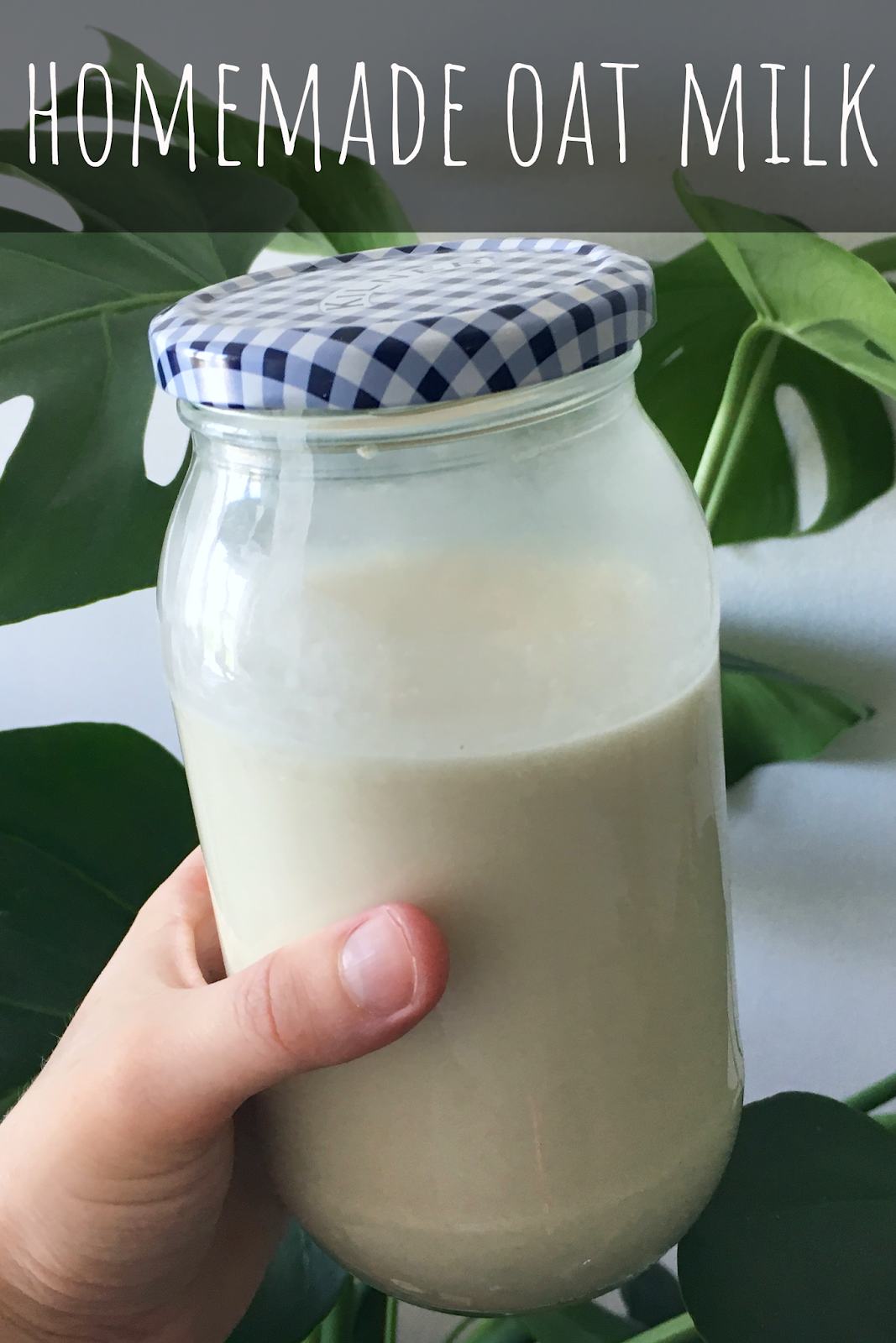 Homemade Oat Milk | Susiechef